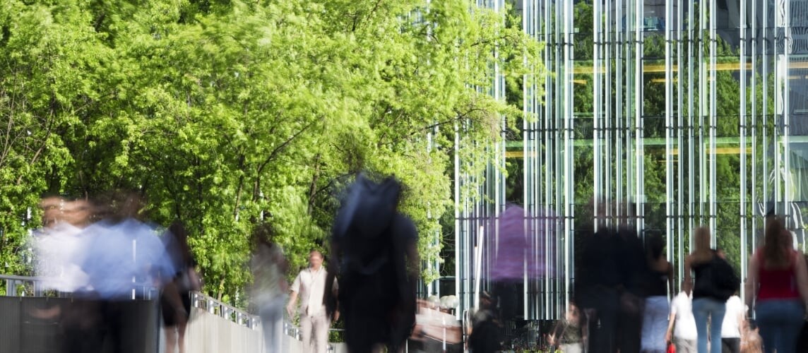 Legacy - Harvest Partners