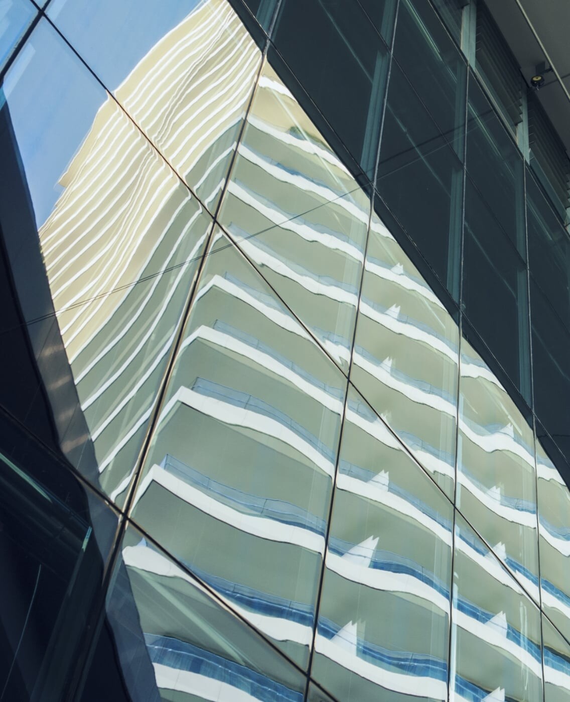 Connect - Harvest Partners